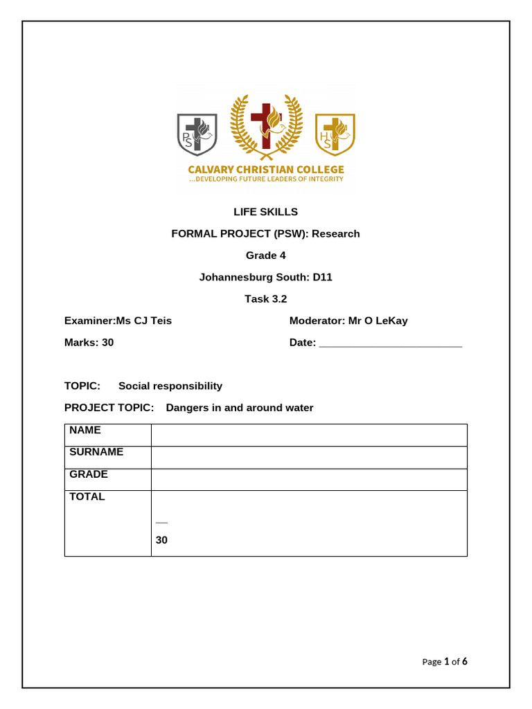 Grade 4 Water Safety Project Guide | PDF
