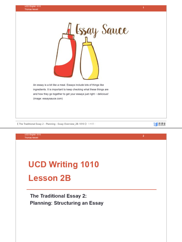 The Traditional Essay 2 - Planning - Essay Overview - 2B-1010 | PDF