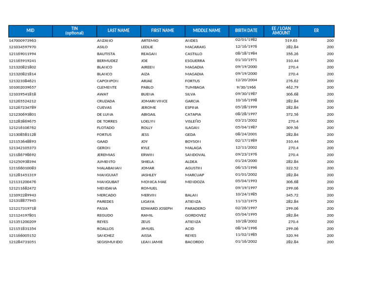HDMF EE Loan Amounts Summary | PDF
