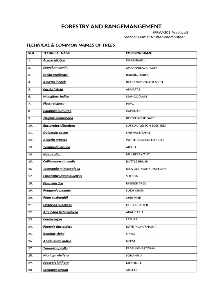 Common Tree Names and Descriptions | PDF | Trees | Botany