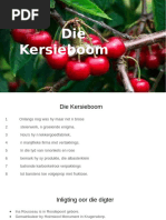 Afrika Volksverhaal Die Leeu en Die Jakkals | PDF