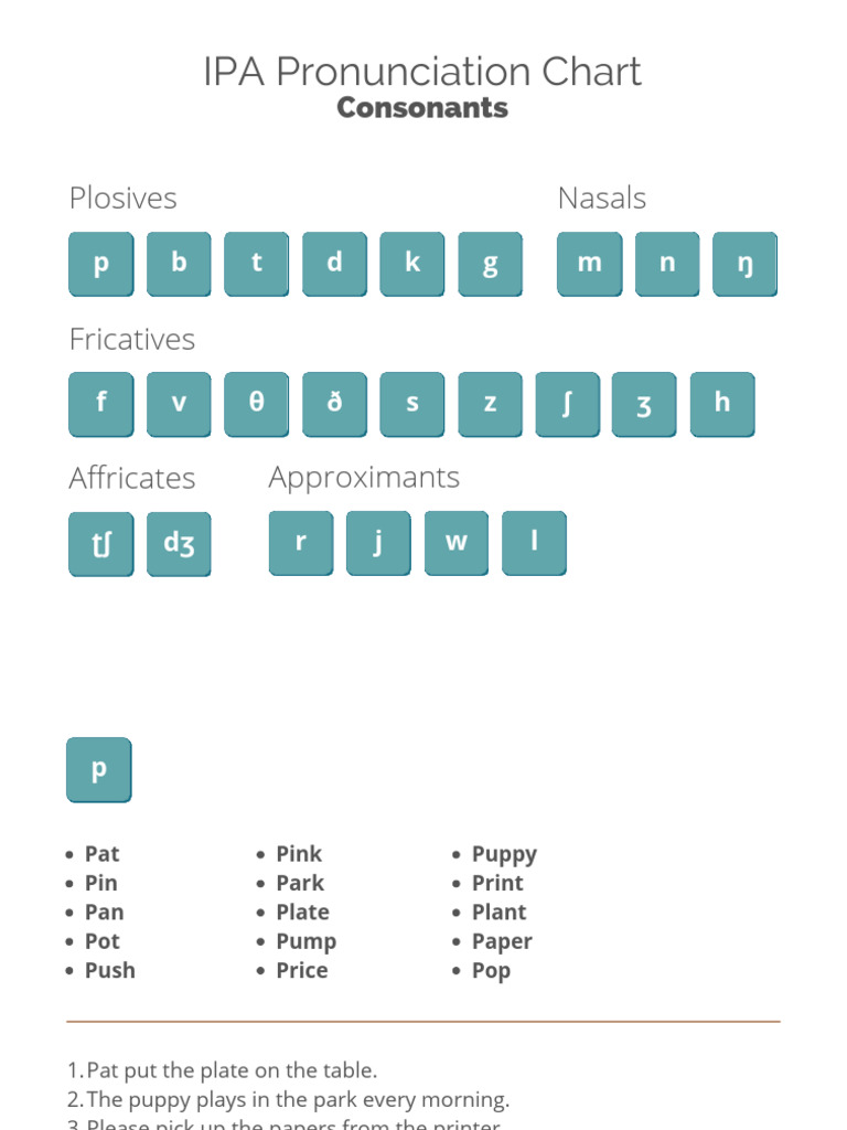 IPA For Beginner Consonants | PDF