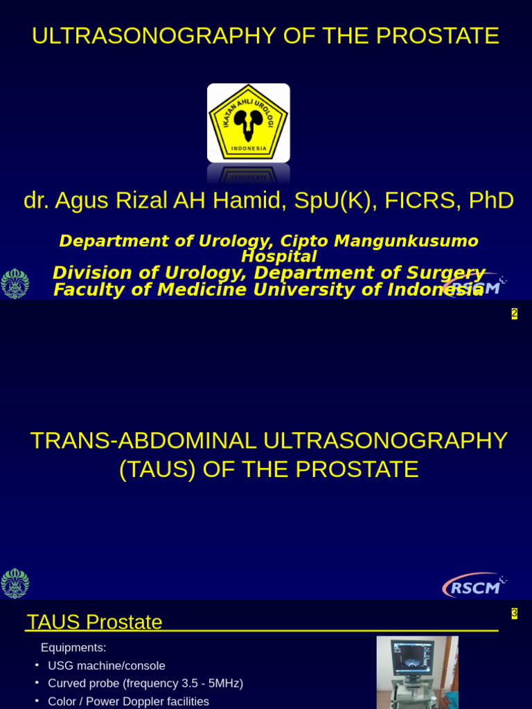 Prostate Ultrasound Techniques Explained | PDF | Prostate | Medical ...
