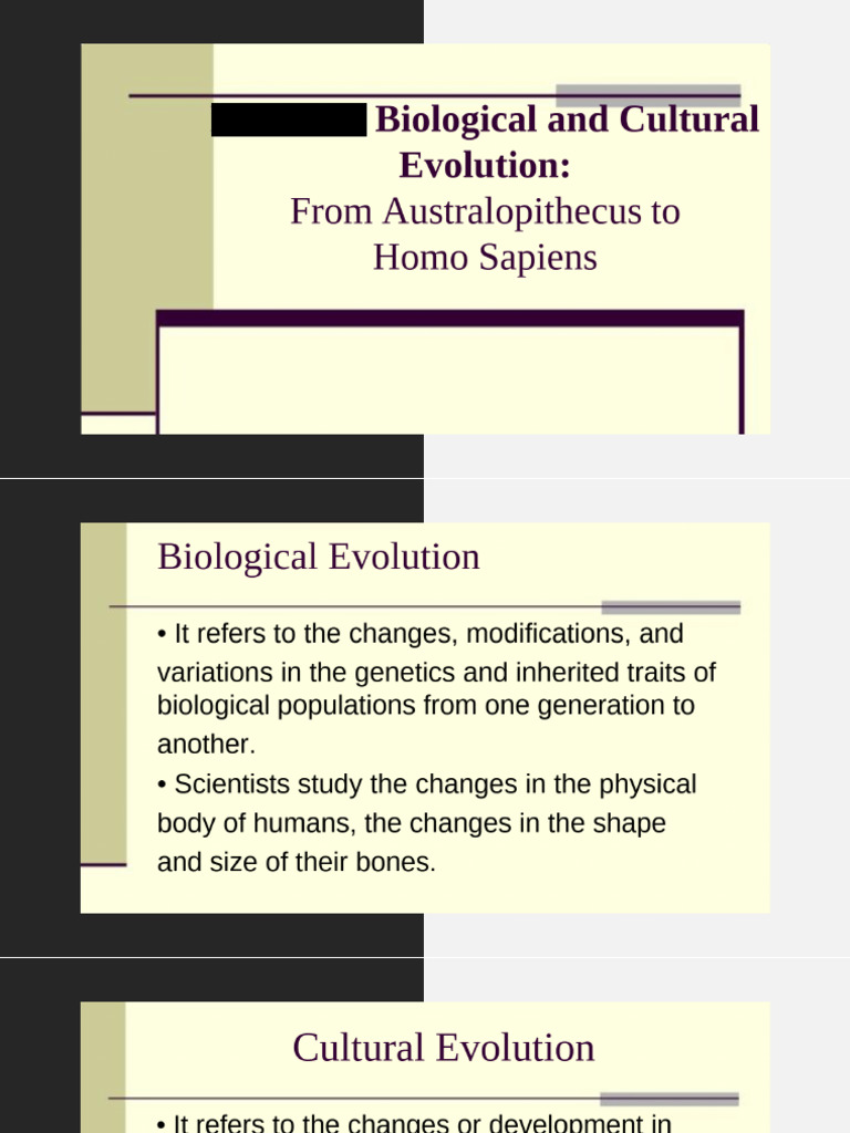 Human Evolution | PDF