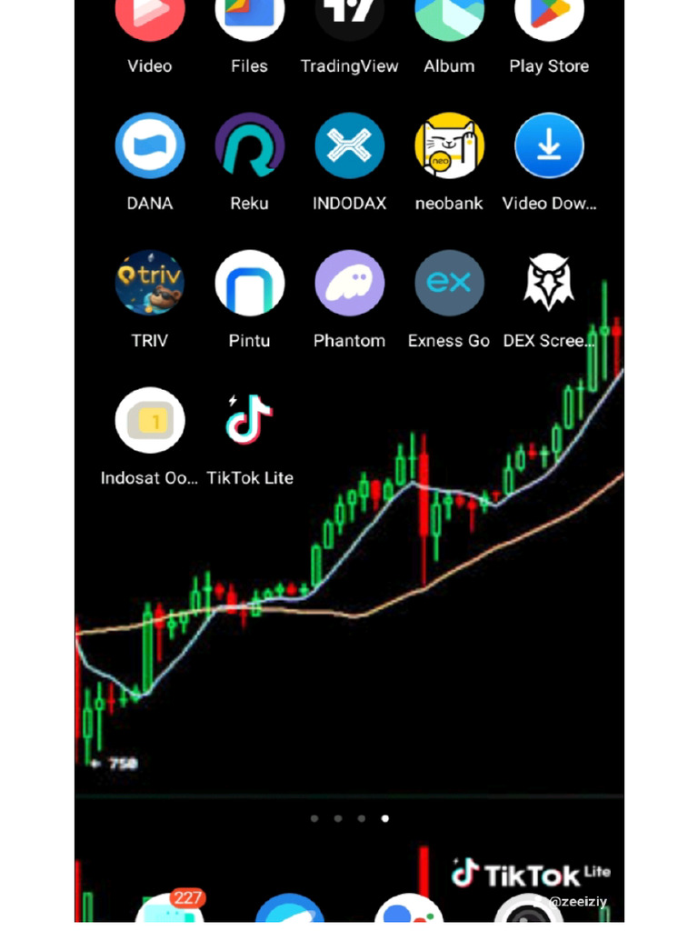 Chart Wallet | PDF
