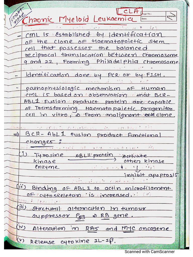 Chronic Myeloid Leukemia Patho.notes | PDF