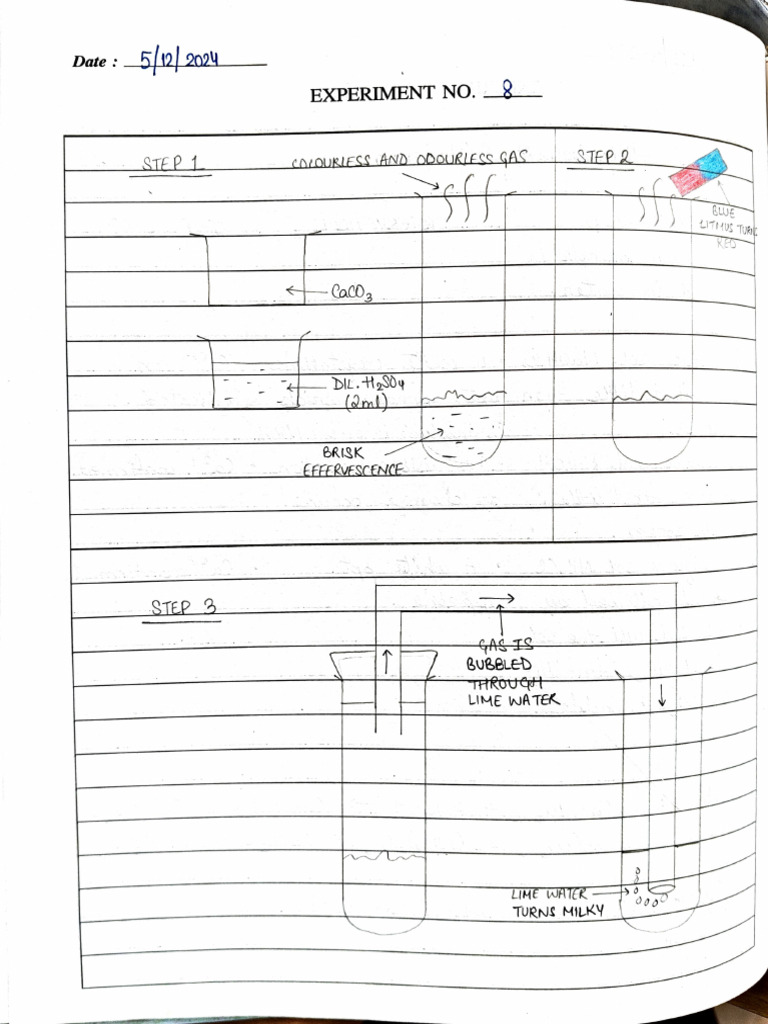 Class 9 Acid Radical Tests Guide | PDF