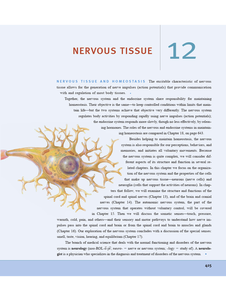 Nervous Tissue | PDF | Axon | Neuron