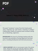 Medical Terminology Chapter 2 Study Guide | PDF