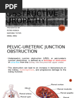 Dismembered Pyeloplasty Techniques Guide | PDF | Kidney | Pelvis