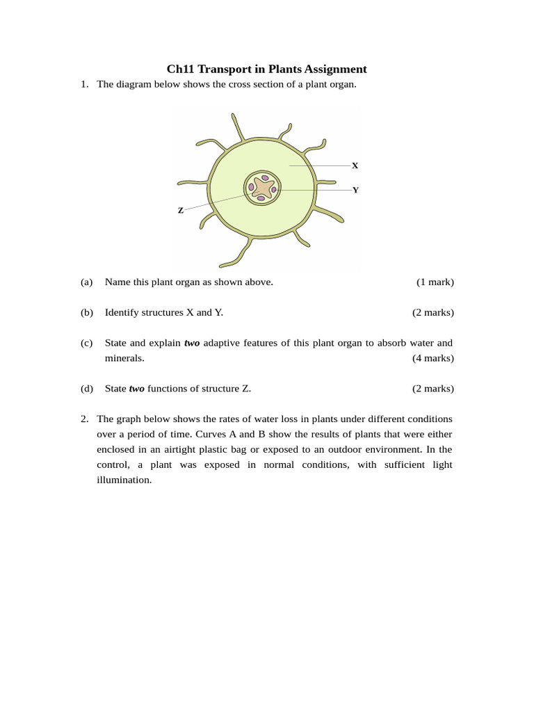 F4 Biology Ch11 Assignment | PDF