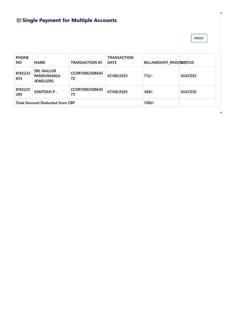 Transaction Summary for Multiple Payments | PDF