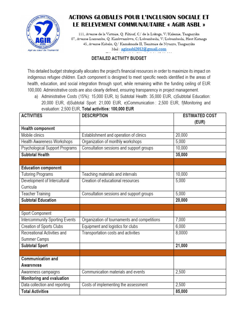 Detailed Activity Budget | PDF | Business