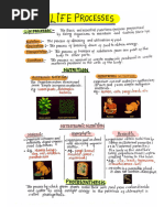 Class 10 Science Chapter 5 - Life Processes | PDF | Nutrition | Diet ...