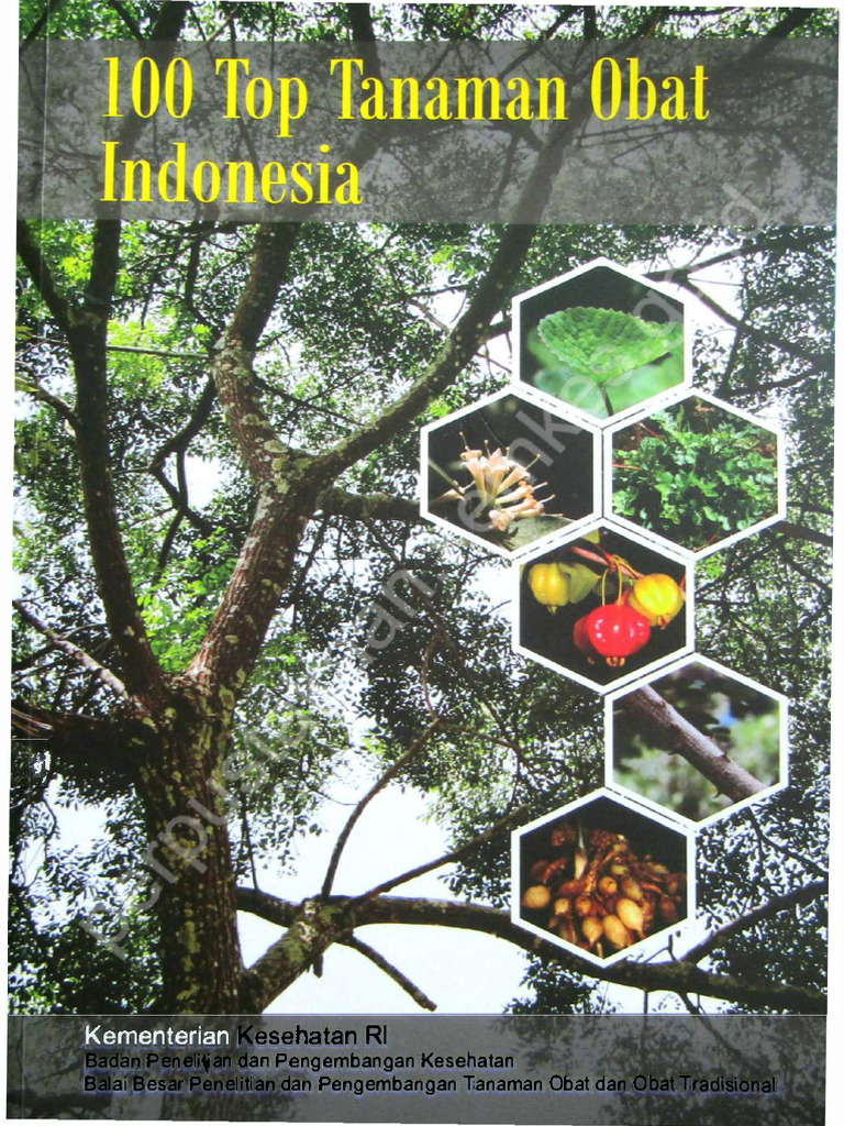 100 Tanaman Obat Indonesia Terbaik | PDF