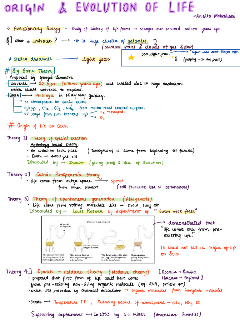 Class 12 Evolution Notes | PDF