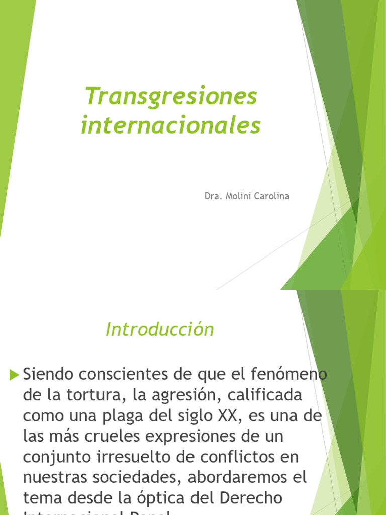 TRANSGRESIONES - INTERNACIONALES Conceptos Basicos | PDF | Crímenes ...