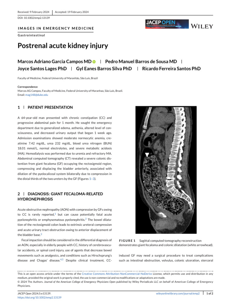 Postrenal Acute Kidney Injury | PDF | Diseases And Disorders | Kidney