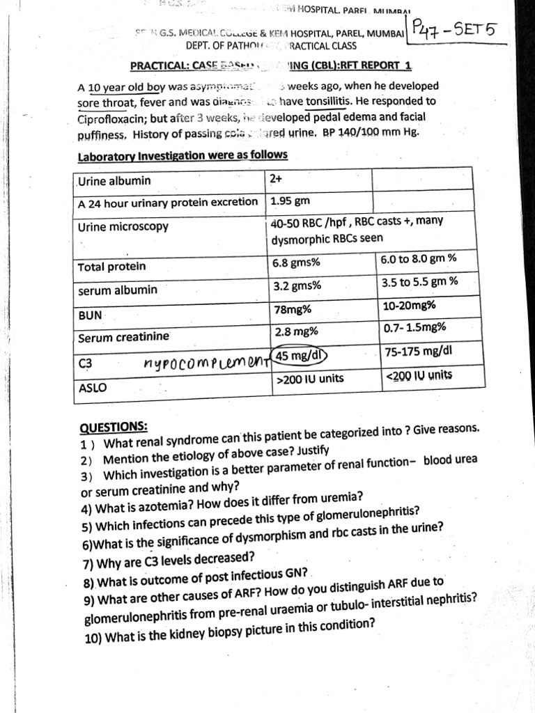Renal Function Tests | PDF
