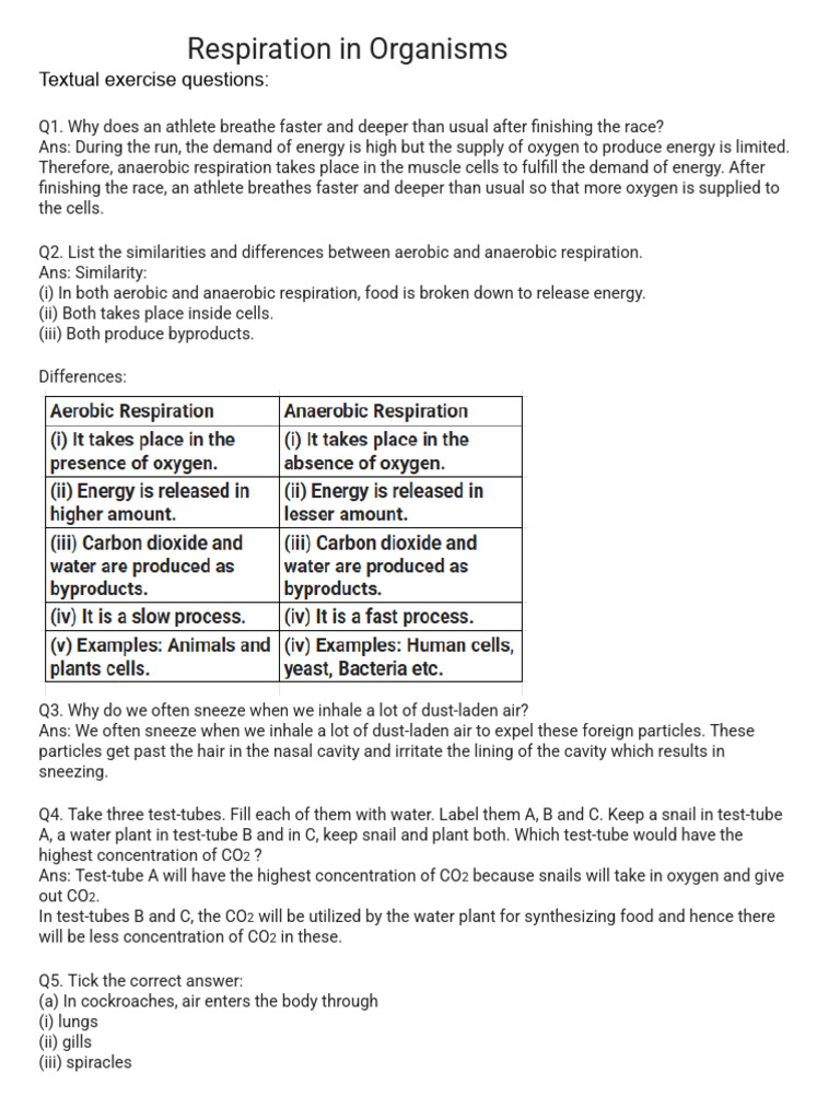 Respiration in Organisms Textual Exercise | PDF | Cellular Respiration ...