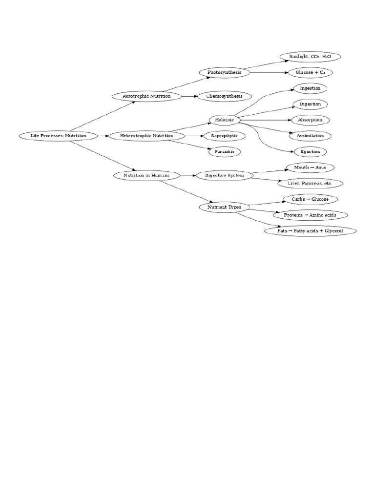 Nutrition Concept Map | PDF