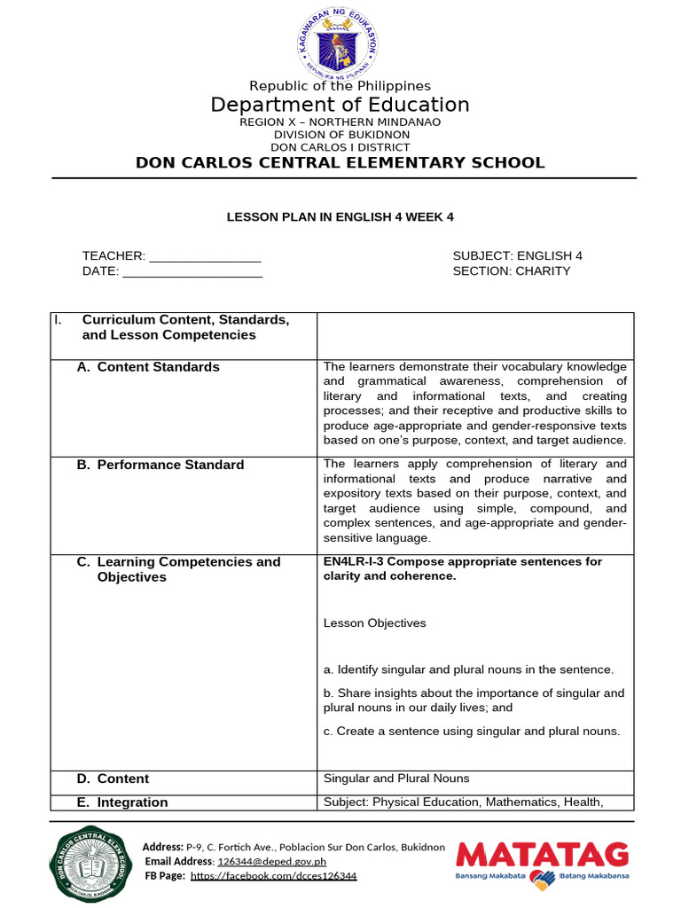 Detailed Lesson Plan English | PDF | Plural | English Language