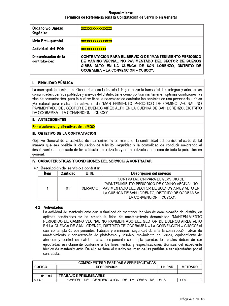 TDR Segun Formato Mdo 11-06-2025 | PDF | Sistema de manejo de calidad
