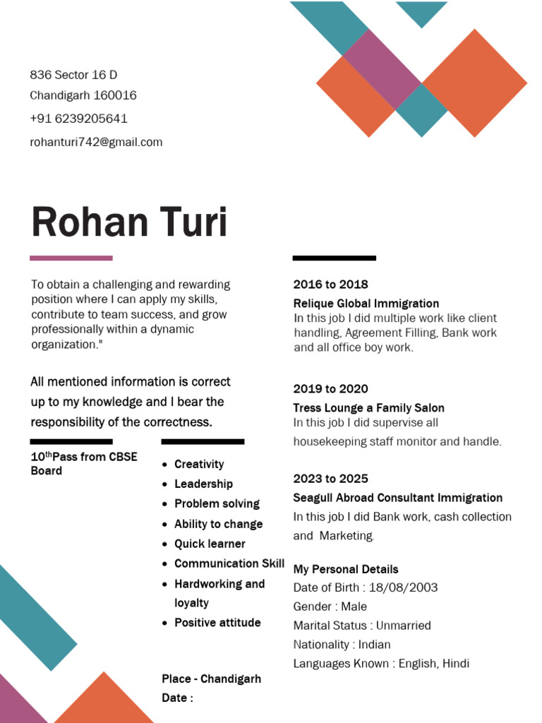 CV - Rohan Turi | PDF
