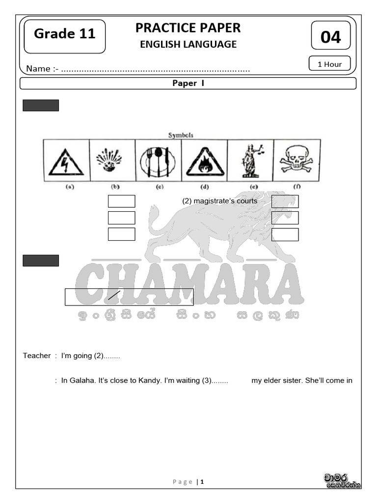 Grade 11 English Practice Paper | PDF