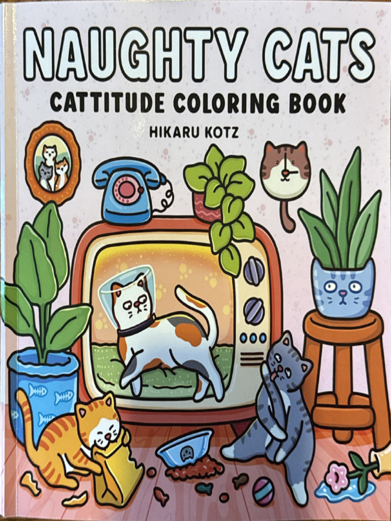 Naughty Cat Co Limited