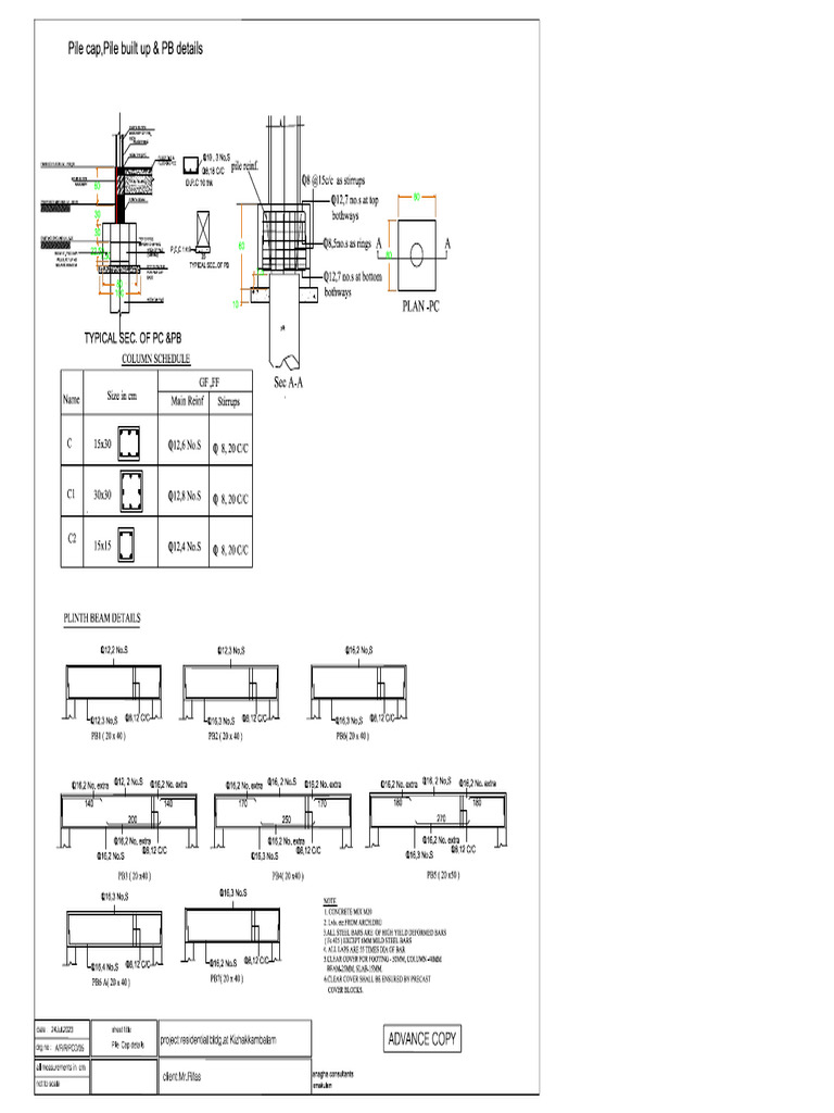 Pile and Plinth Details | PDF | Structural Engineering | Building Technology
