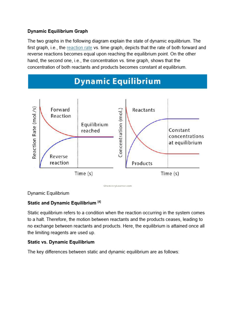 Dynamic Equilibrium Graph | PDF