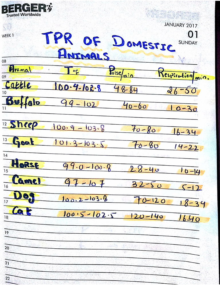 Basic Med Clinic Diary | PDF