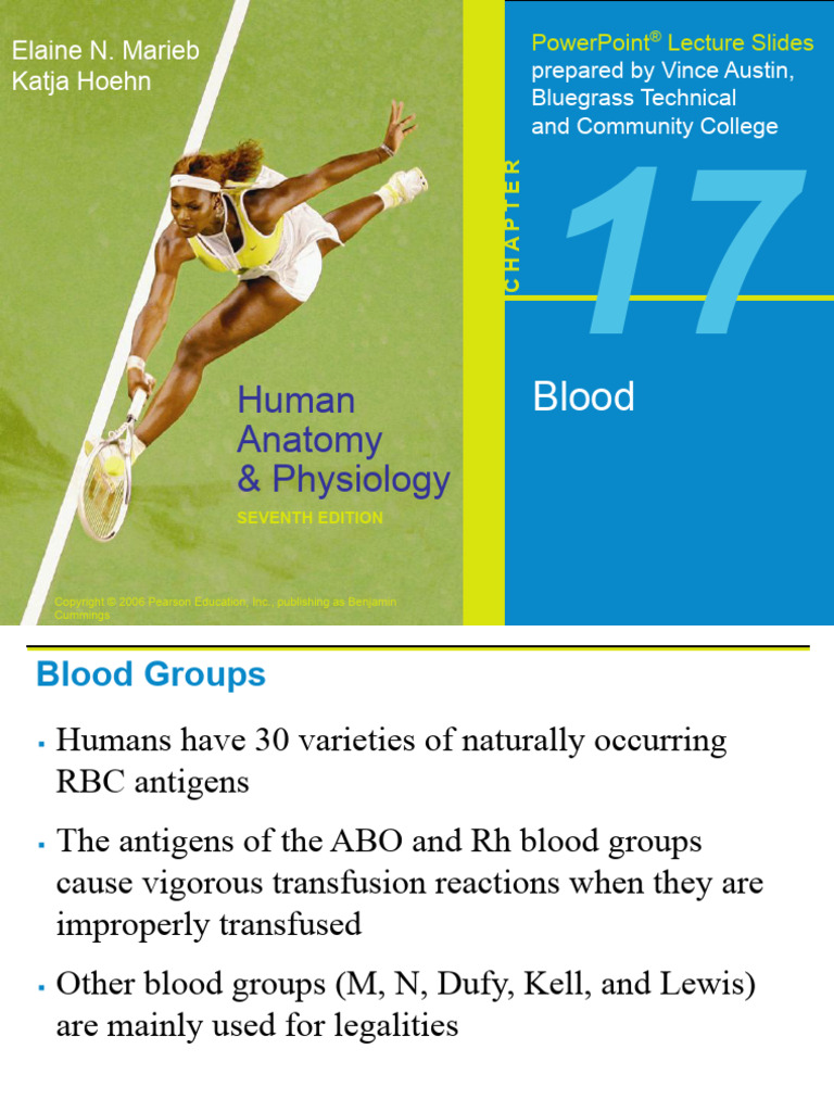 Blood Groups and Their Functions | PDF | White Blood Cell | Coagulation
