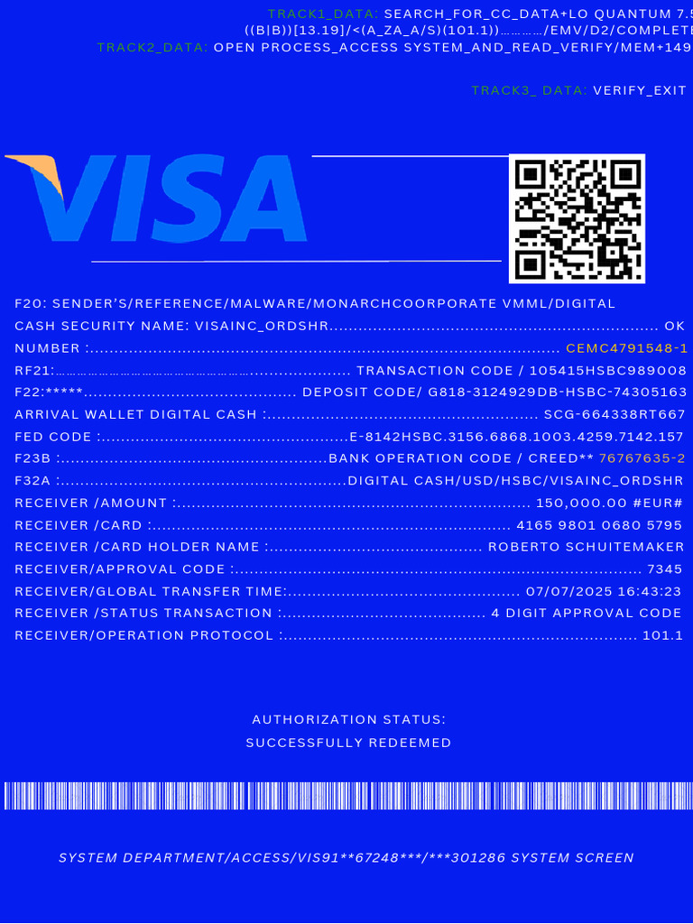 Visa Authorization and Transaction Details | PDF