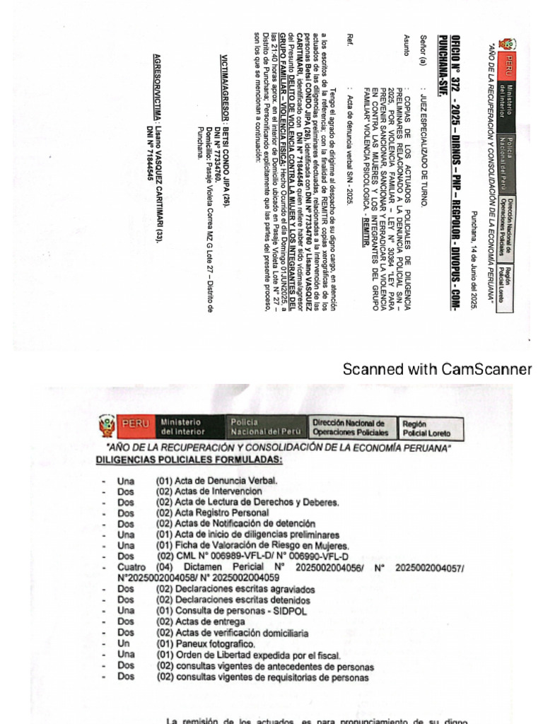 Caso Betsi Cóndo Jipa | PDF