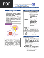 Daily Voiding Log for Pelvic Health | PDF