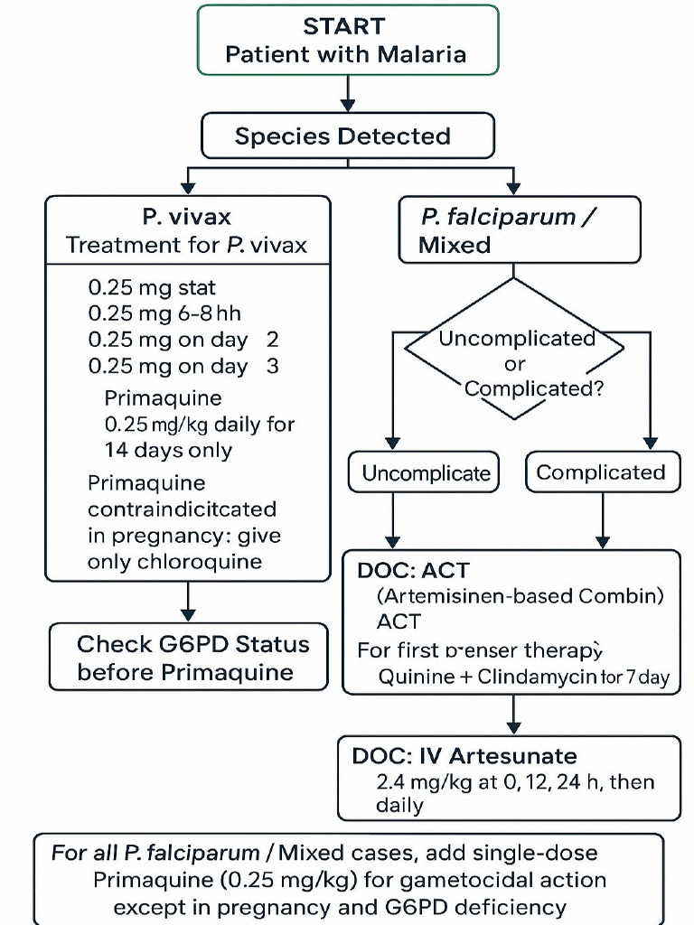Malaria Treatment Flowchart NVBDCP 2024-25 | PDF