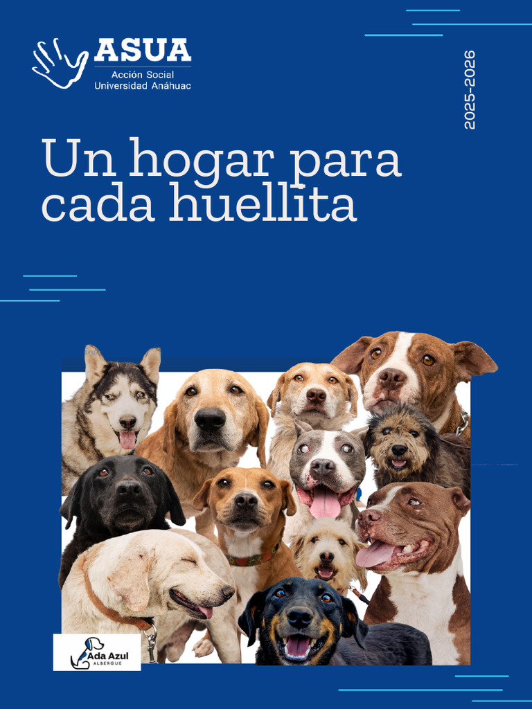 Catálogo Ada Azul | PDF