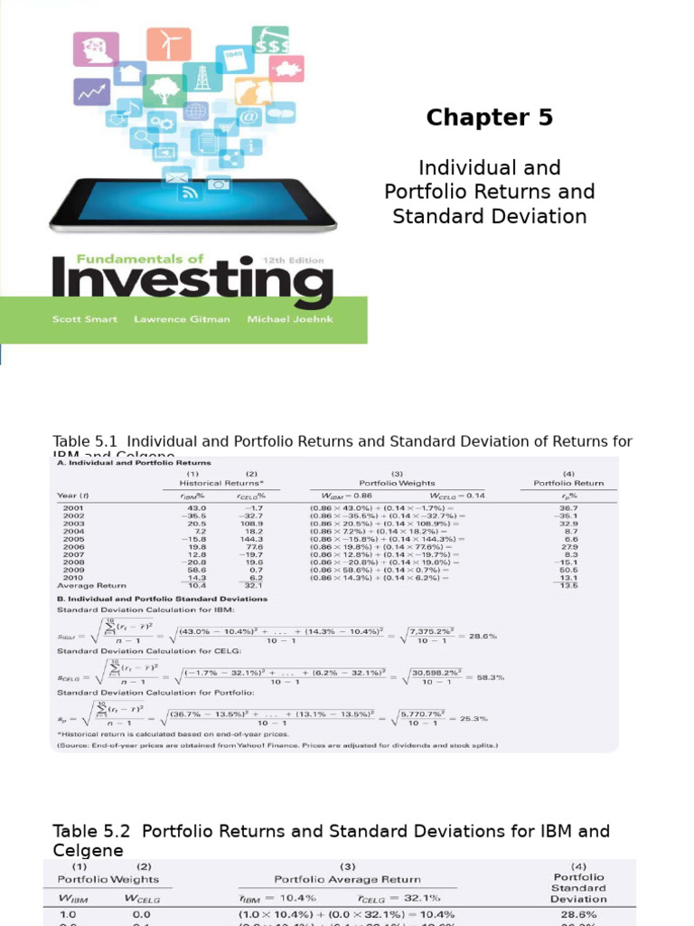 Part 2 - Individual and Portfolio Returns and Standard Deviation | PDF