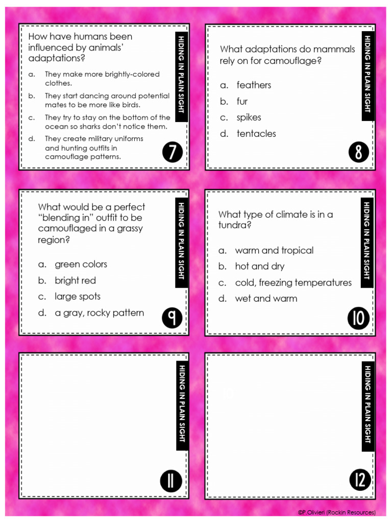 4.ri1. Hiding in Plain Sight Teacher Notes Printables and Links ...