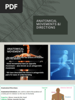Movement (Anatomical Terms) | PDF | Anatomical Terms Of Motion ...