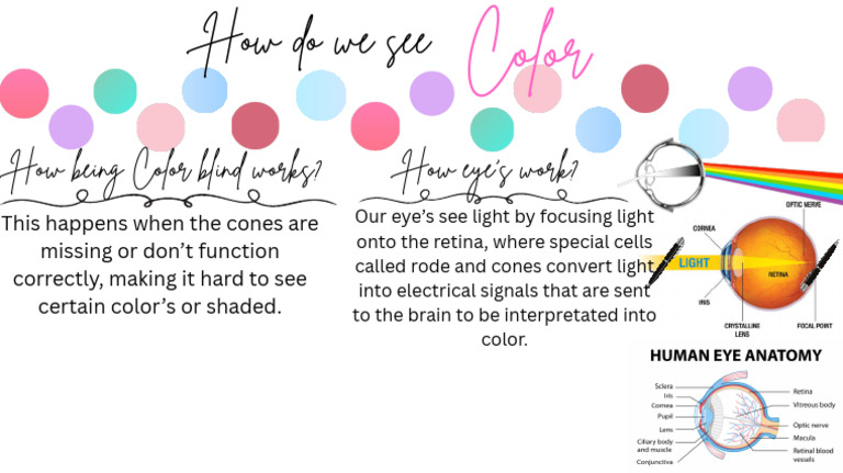 Understanding Color Vision and Blindness | PDF