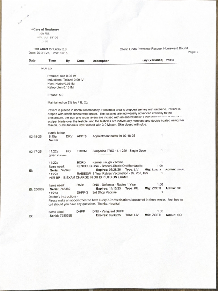 Ent Chart For Luckv 2.0 | PDF