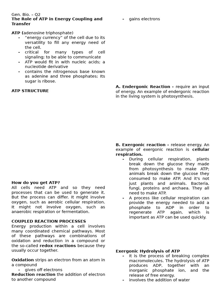 ATP's Role in Energy Transfer and Photosynthesis | PDF | Cellular ...