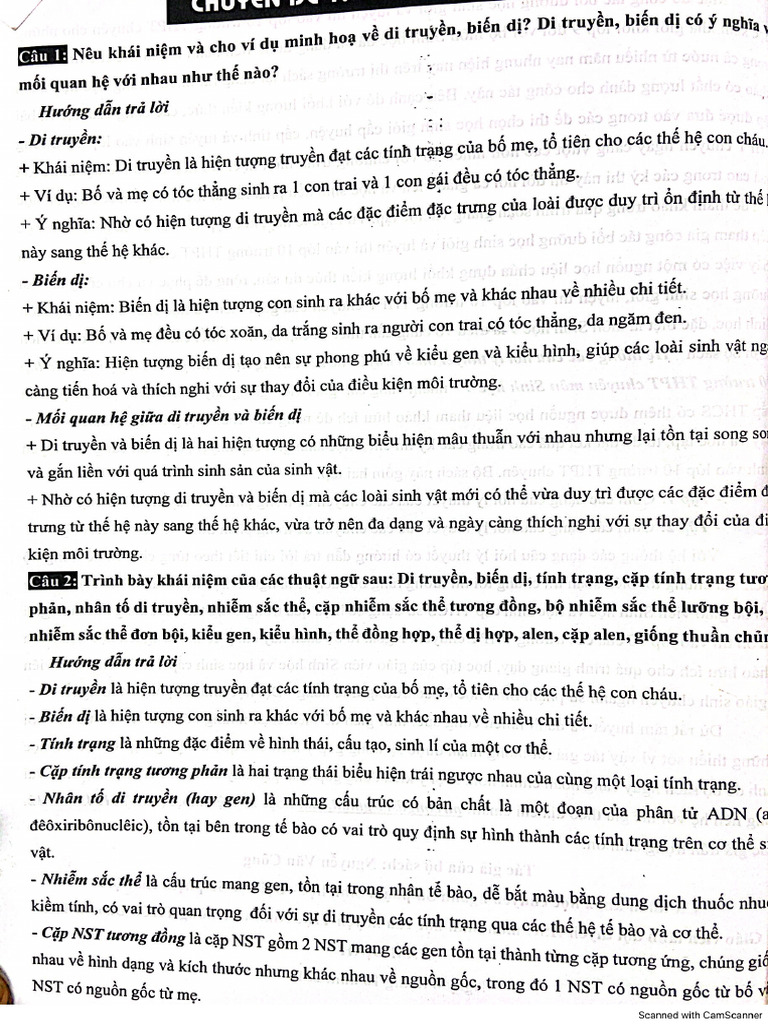 Lí Thuyết Chương 1 Menđen | PDF
