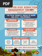 Lesson 11 Four Thematic Areas of Philippine Disaster Management System ...