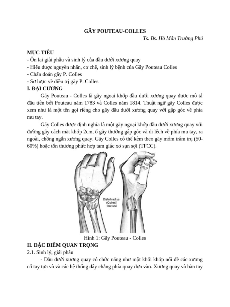 1. Bài pouteau Colles- TS Phu_Y | PDF