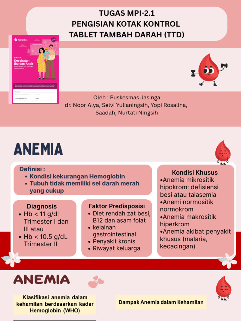 Panduan Pengisian Kotak Kontrol TTD Anemia | PDF