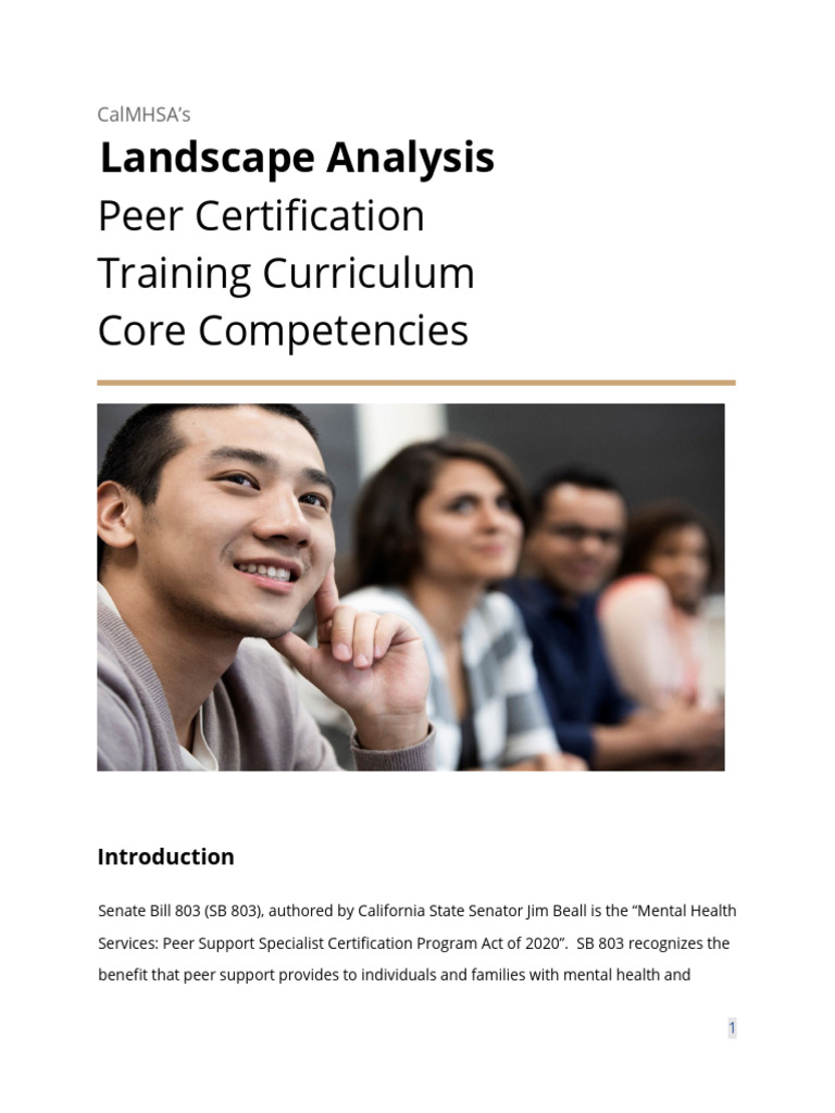 Peer Certification Landscape Analysis Report - Final | PDF ...